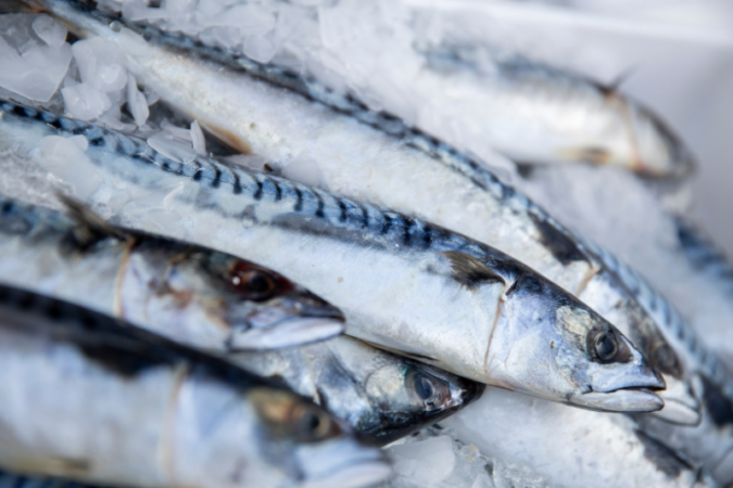 Discover Kingston's Ancient Market in Kingston Upon Thames – Kingston ...