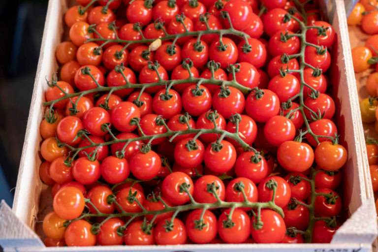 Discover Kingston's Ancient Market in Kingston Upon Thames – Kingston ...